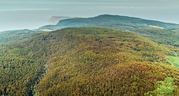 Ever dreamed of owning a slice of nature? One of Southern Tasmania's ...